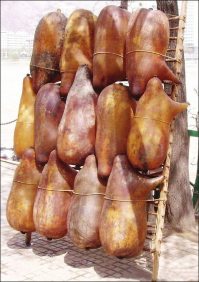 Sheepskin raft drifting activities to be held in Lanzhou