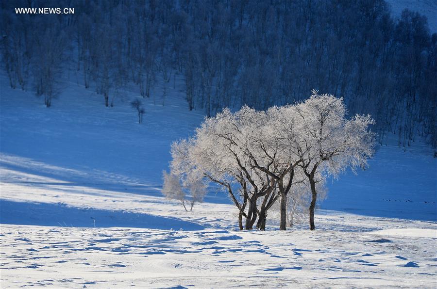 Rime scenery in China's Chifeng attracts lots of visitors - China.org.cn
