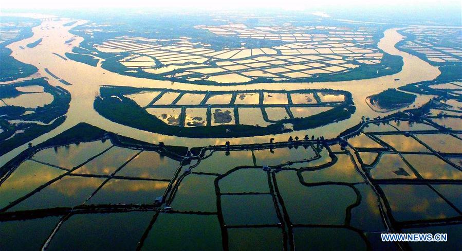 High-standard farmland developed in S China- China.org.cn