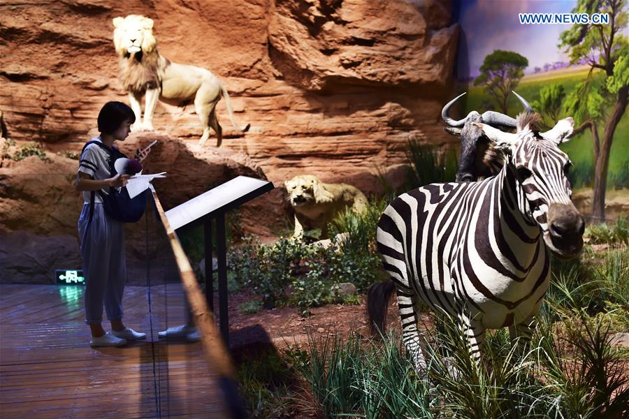 Wild animal exhibition held in Hangzhou- China.org.cn