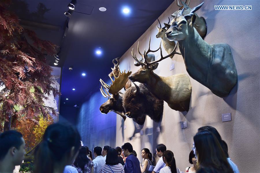 Wild animal exhibition held in Hangzhou- China.org.cn