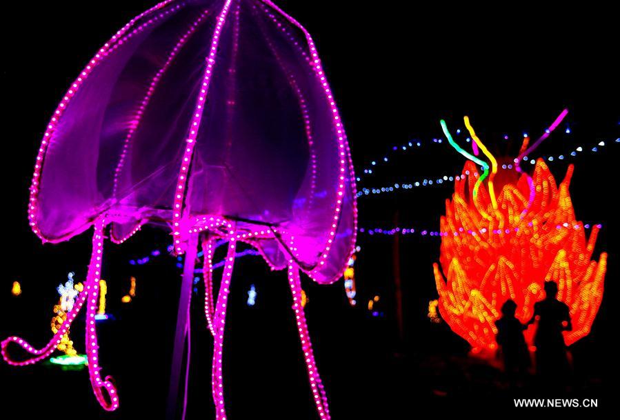 LED light festival held in China's Shandong- China.org.cn