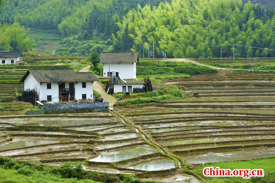 Scenery of Shangbao Terrace in China's Jiangxi - China.org.cn