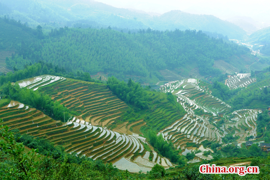Scenery of Shangbao Terrace in China's Jiangxi - China.org.cn