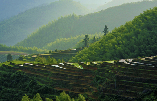 Scenery of Shangbao Terrace in China's Jiangxi - China.org.cn