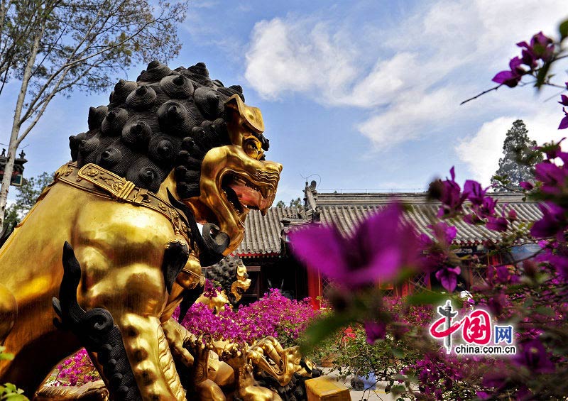 Badachu Park in Beijing - China.org.cn