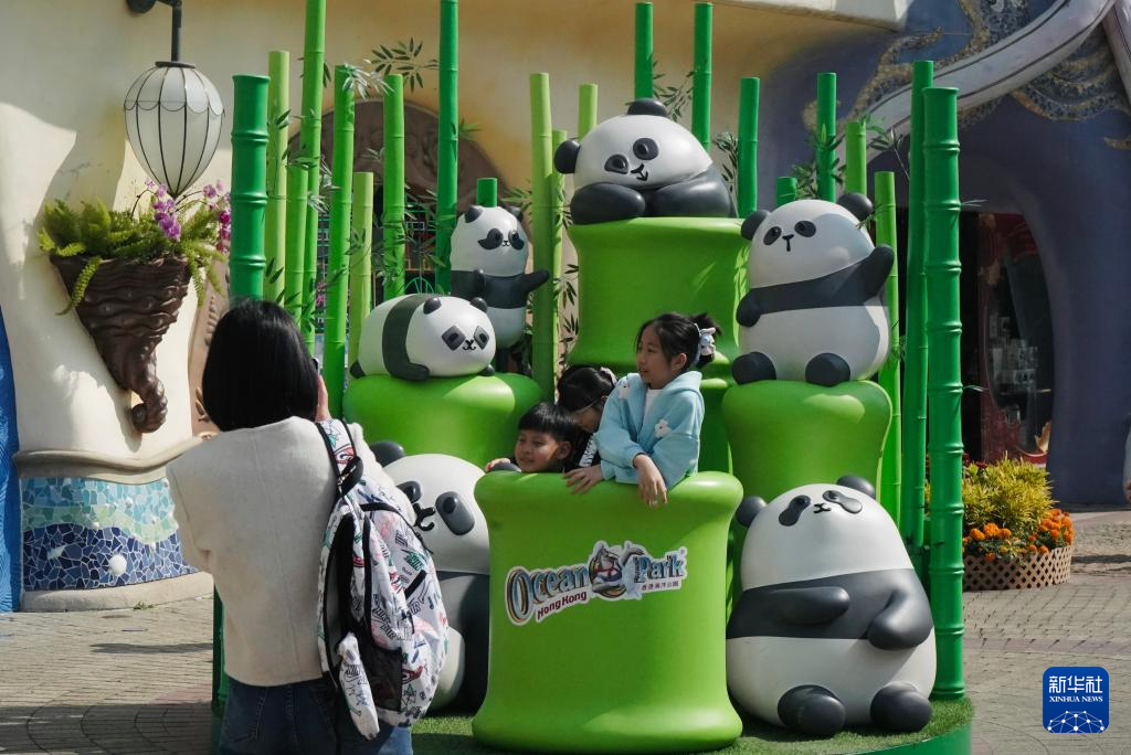 “熊抱”的幸福：大熊貓與香港的獨家記憶_中國網