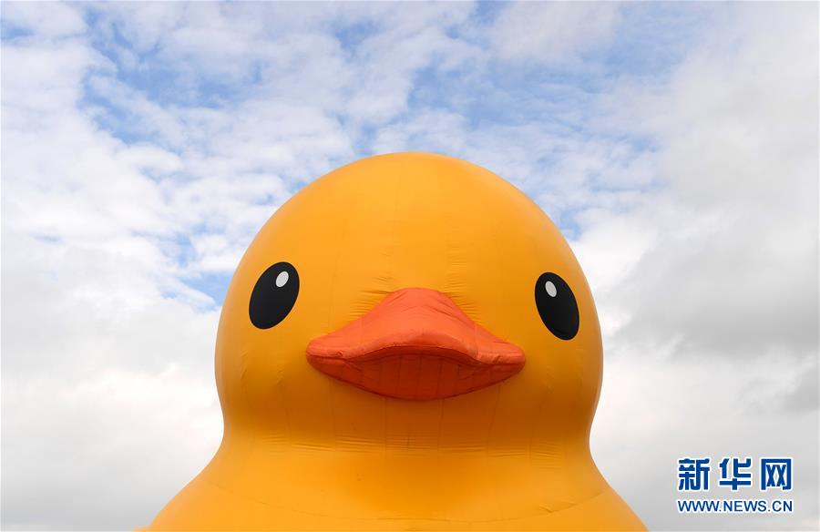 Le célèbre canard gonflable géant de passage à Kunming