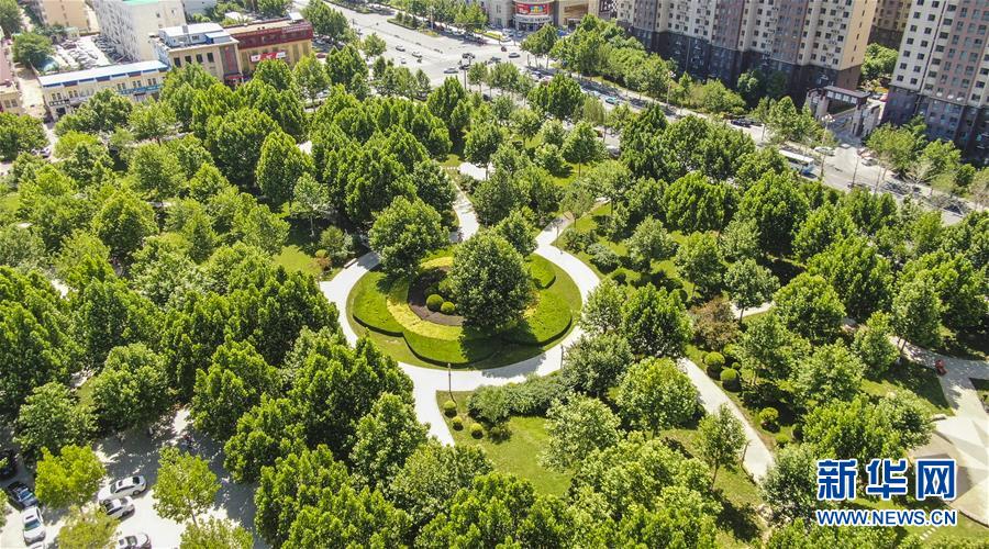 Hebei : la ville de Bazhou renforce la construction des parcs urbains