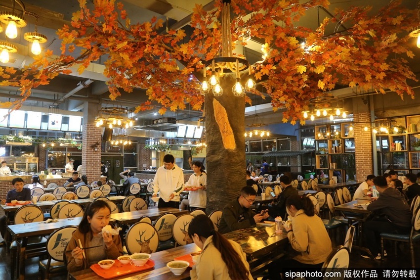 Die innovativsten Mensen in chinesischen Universitäten_China.org.cn