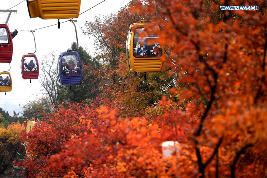 Touristen bewundern rotes Herbstlaub im Badachu-Park in Beijing_China ...