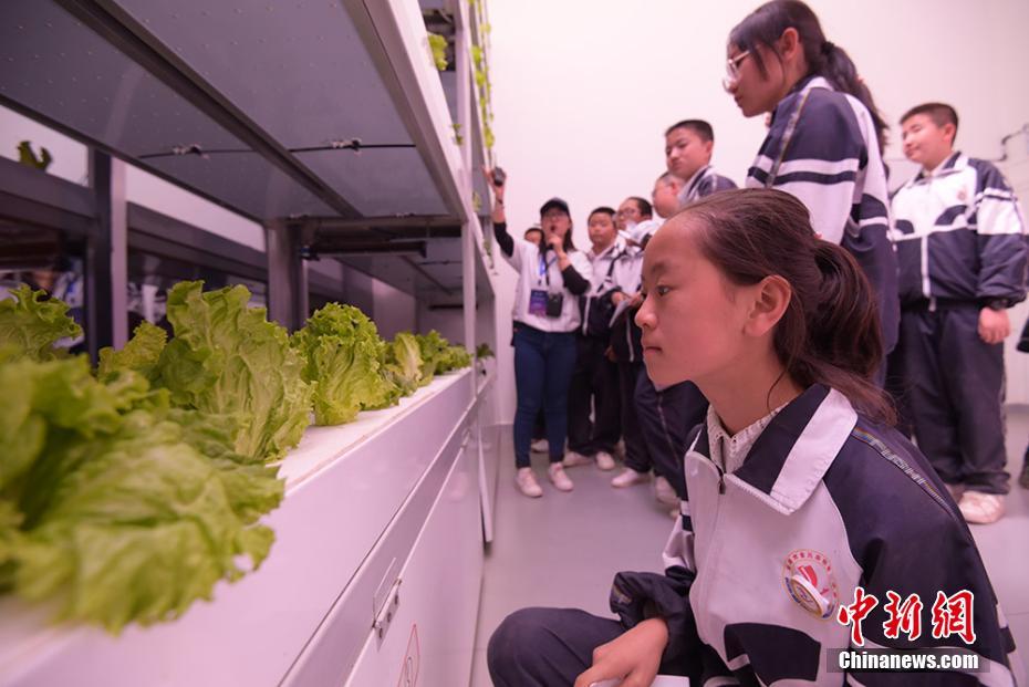 Besucher bekommen einen Eindruck vom Mars in Gansu_China.org.cn