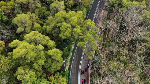 Fuzhou: Grüner Weg macht schöne Natur genießbar_China.org.cn