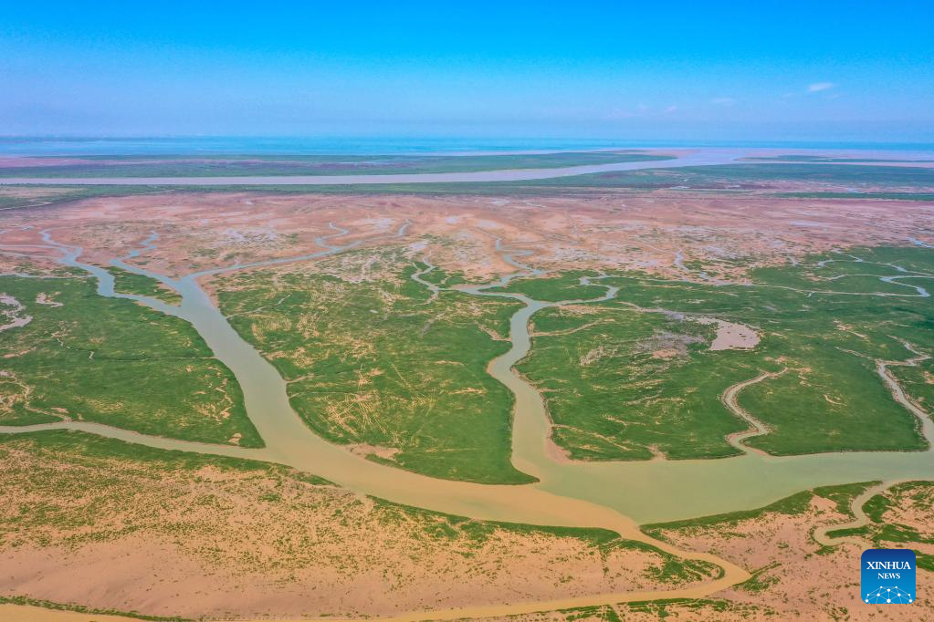 Landschaft des Gelben Flussdeltas im Nationalen Naturschutzgebiet in ...
