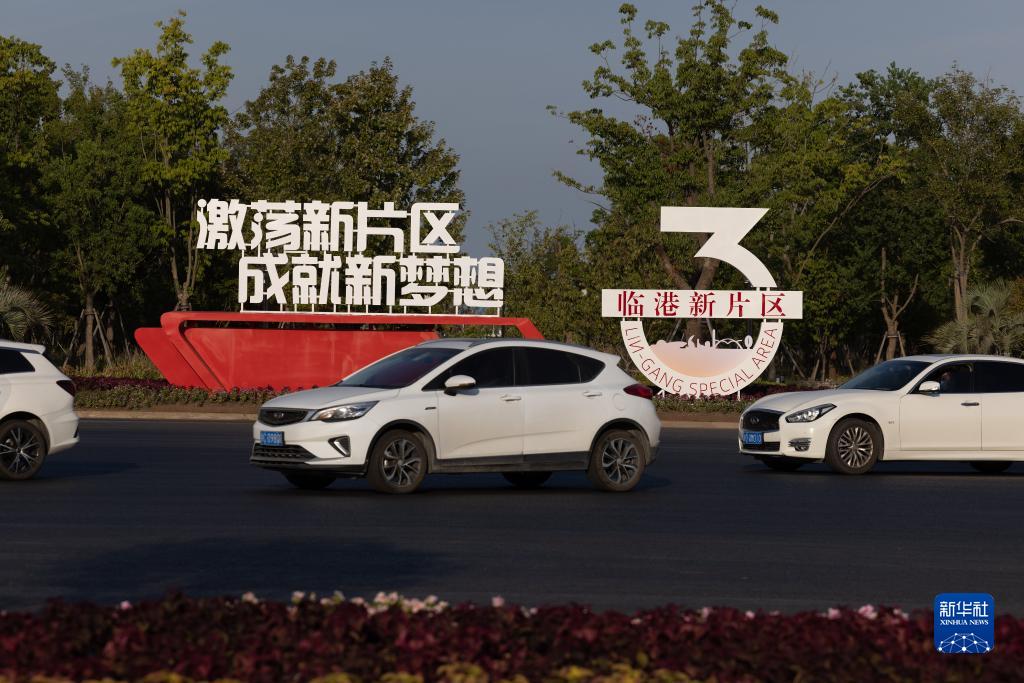 Lingang treibt Shanghais wirtschaftliche Entwicklung voran_China.org.cn