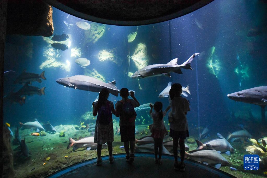 Zhuhai: Nachtcamping im Aquarium_China.org.cn