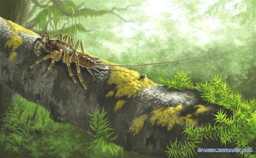 Vista de la imagen de restablecimiento de la Chimerarachne_Spanish ...
