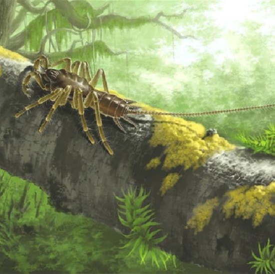Vista de la imagen de restablecimiento de la Chimerarachne_Spanish ...