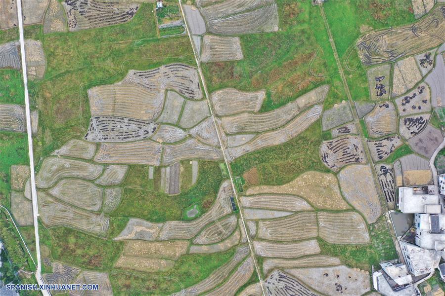 Guizhou: Paisaje otoñal en la zona rural de la localidad de Mochong de ...