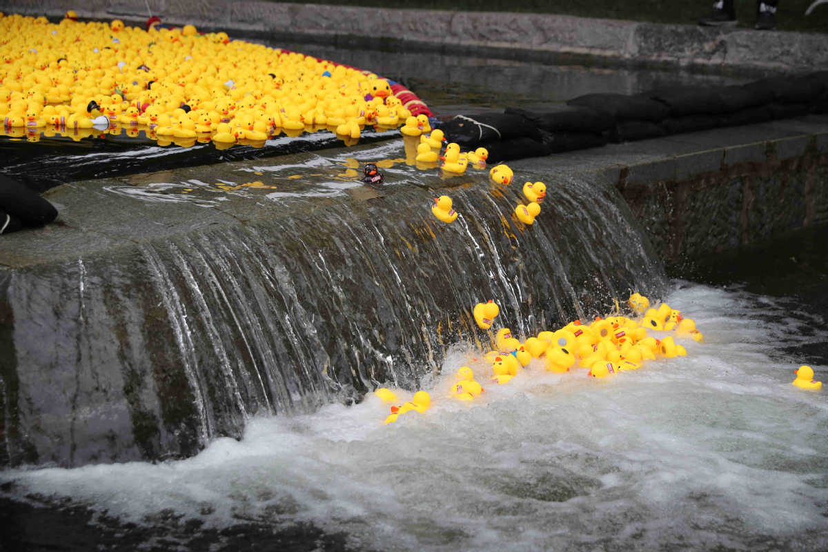 Carrera de paticos de goma_Spanish.china.org.cn_中国最权威的西班牙语新闻网站