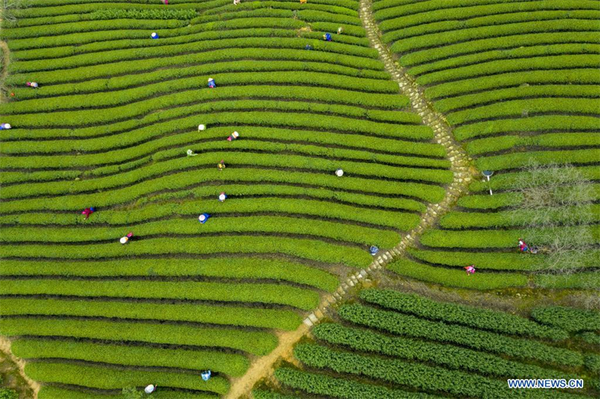 Chunfen señala el inicio de uno de los períodos de agricultura más ...