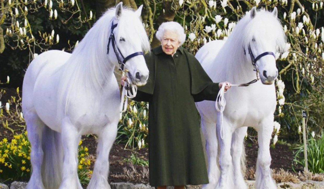 Isabel II cumple 96 años alejada de la atención pública_Spanish.china ...