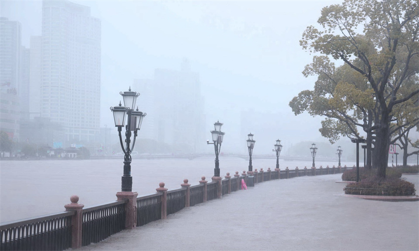 Más de 1 millón de evacuados en el este de China por tifón Muifa ...