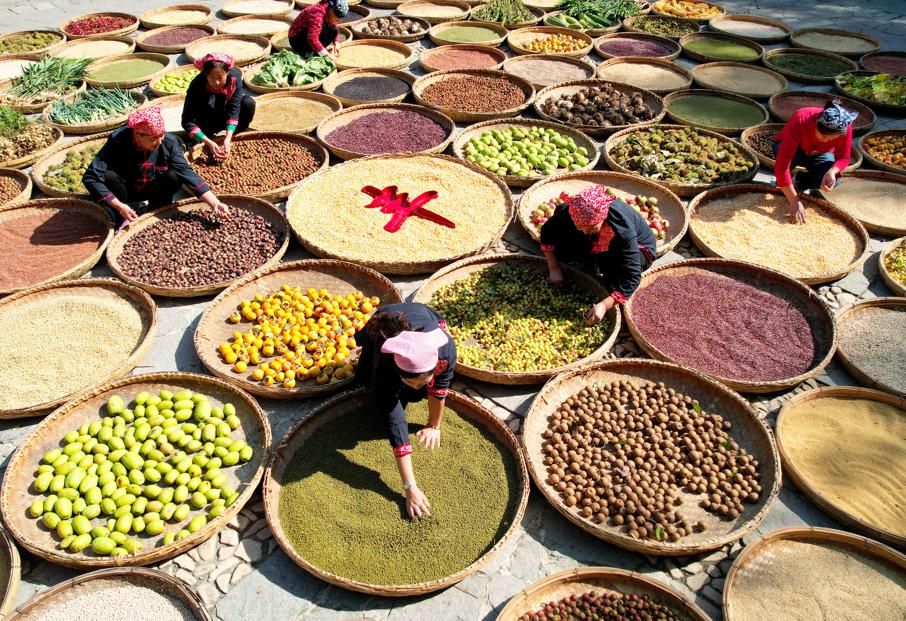 El otoño trae cosecha_Spanish.china.org.cn_中国最权威的西班牙语新闻网站