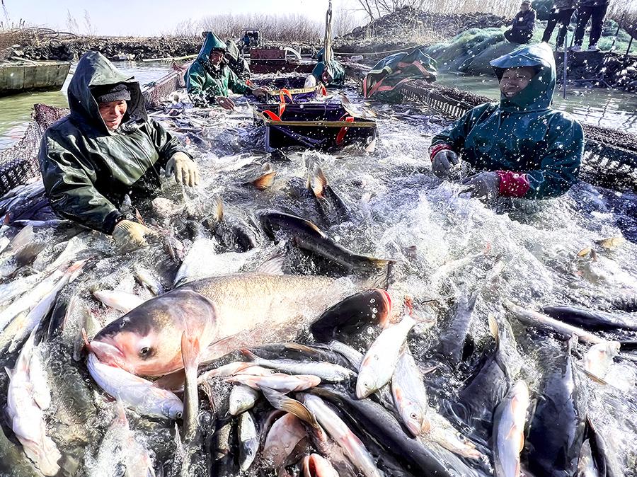 Festival de pesca invernal en Anhui se suma a las celebraciones_Spanish ...
