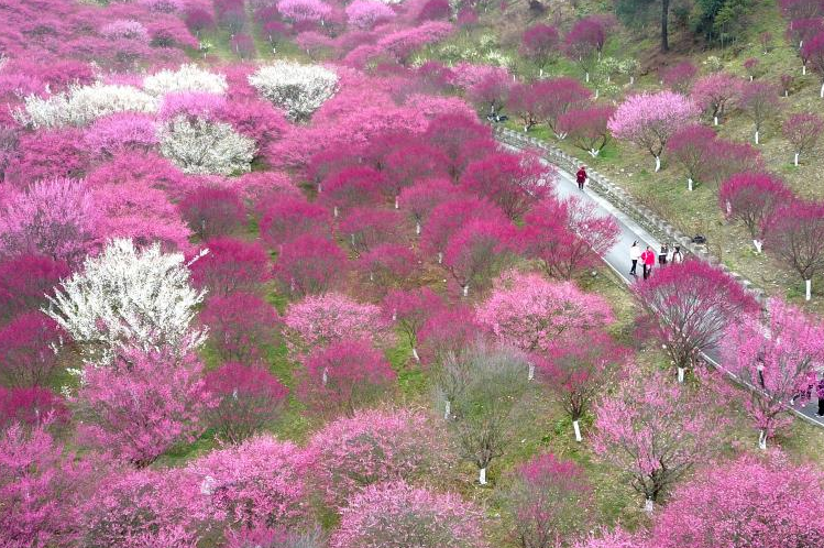 Personas disfrutan de la primavera en China_Spanish.china.org.cn_中国最权威的 ...