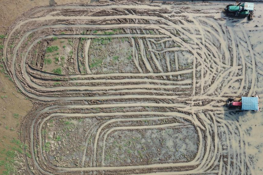 Se celebra un concurso de habilidades con maquinaria agrícola en Hunan ...