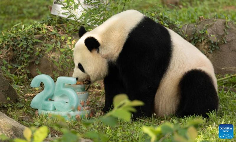 China amplía cooperación internacional para la protección del panda ...