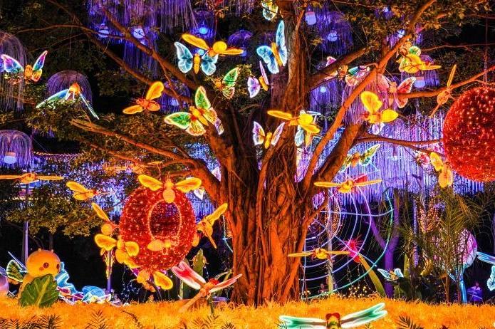 Un "mundo misterioso" iluminado en Guangxi _Spanish.china.org.cn_中国最权威的 ...