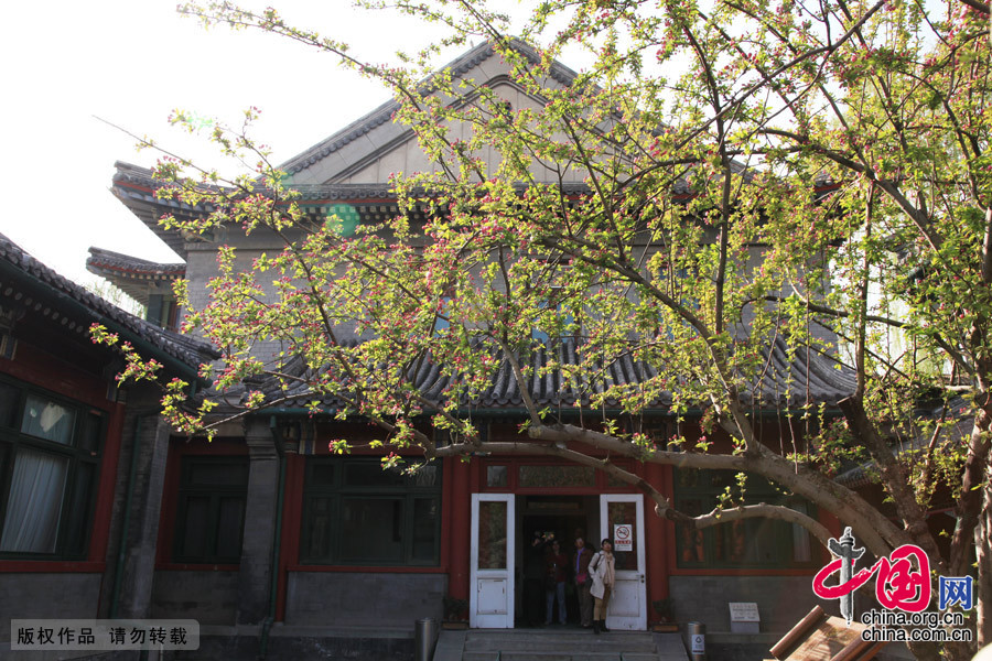 Flowers in full blossom in Former Residence of Song Qingling - China.org.cn