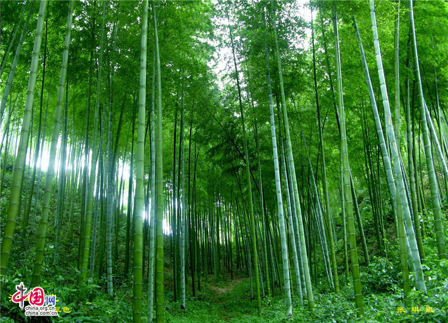 Hongjiang ancient commercial town in China's Hunan - China.org.cn