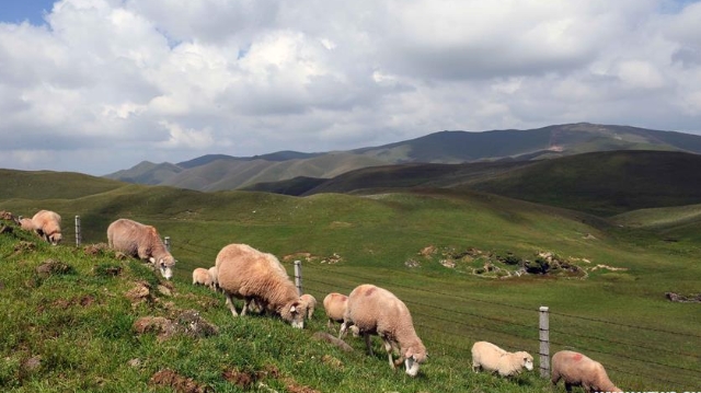 Scenery of Dahaicao Mountain in southwest China's Yunnan - China.org.cn