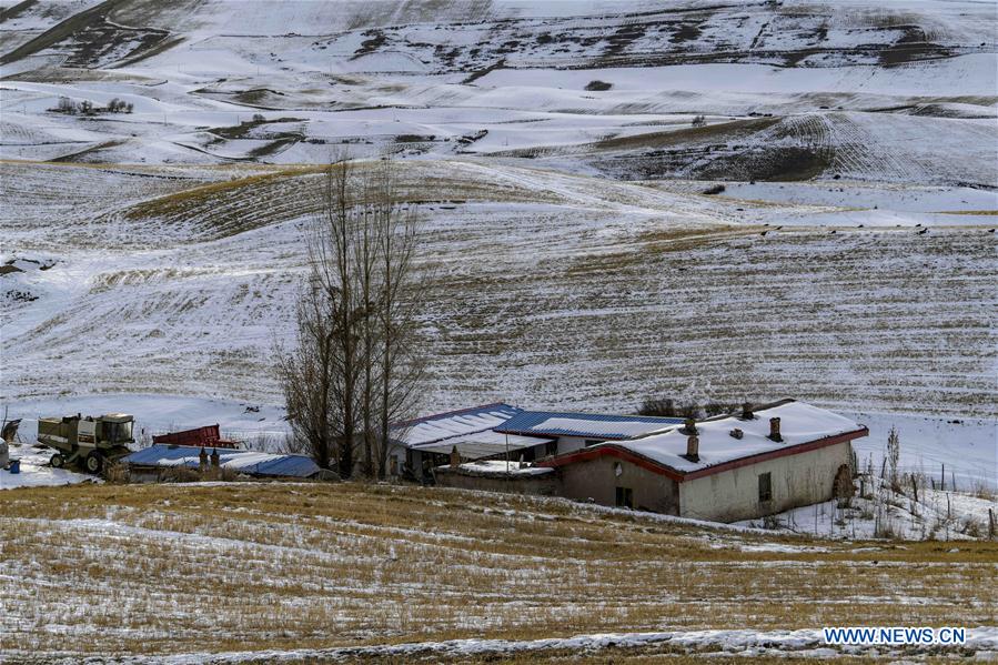 Snow scenery in China's Xinjiang- China.org.cn