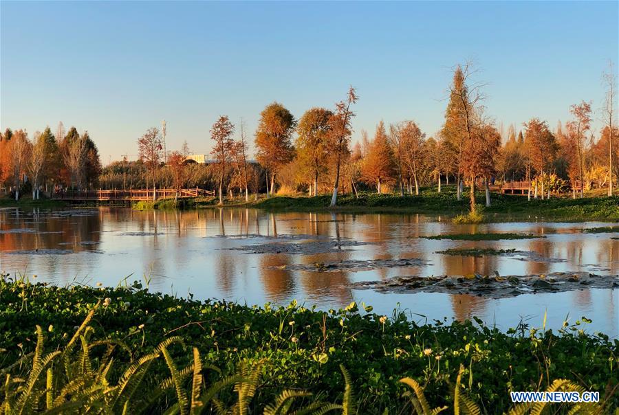 Scenery of Haidong wetland park in Dianchi Lake, China's Yunnan - China ...