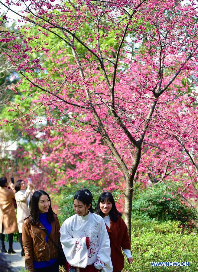 Spring scenery at Wushan scenic spot in Fuzhou, China's Fujian - China ...