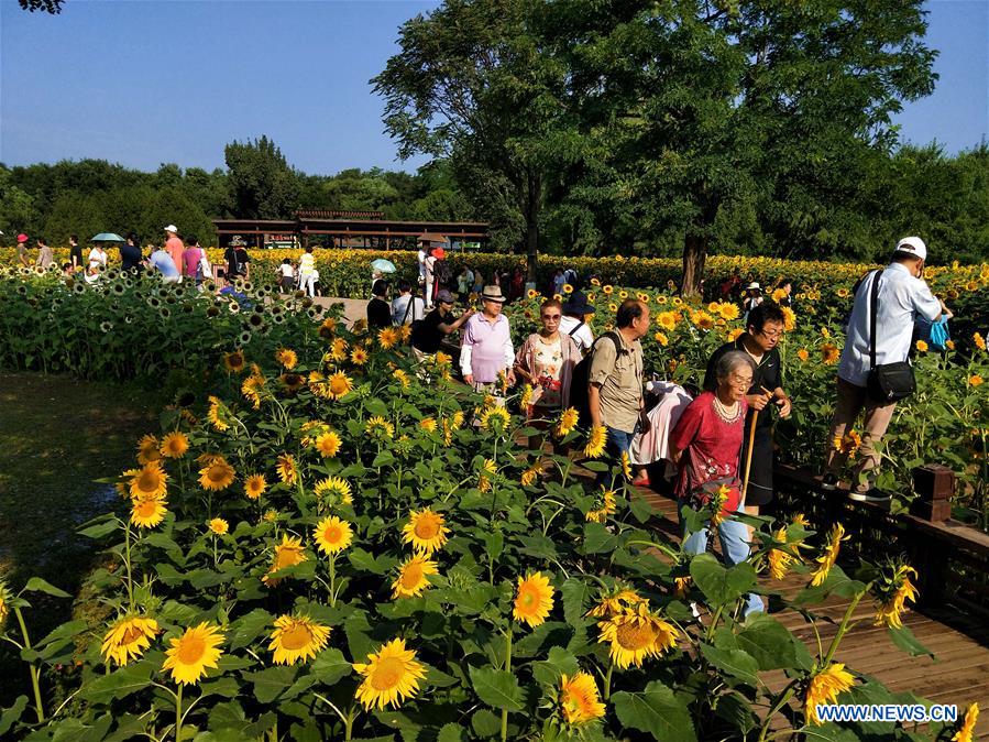 People enjoy summer time- China.org.cn