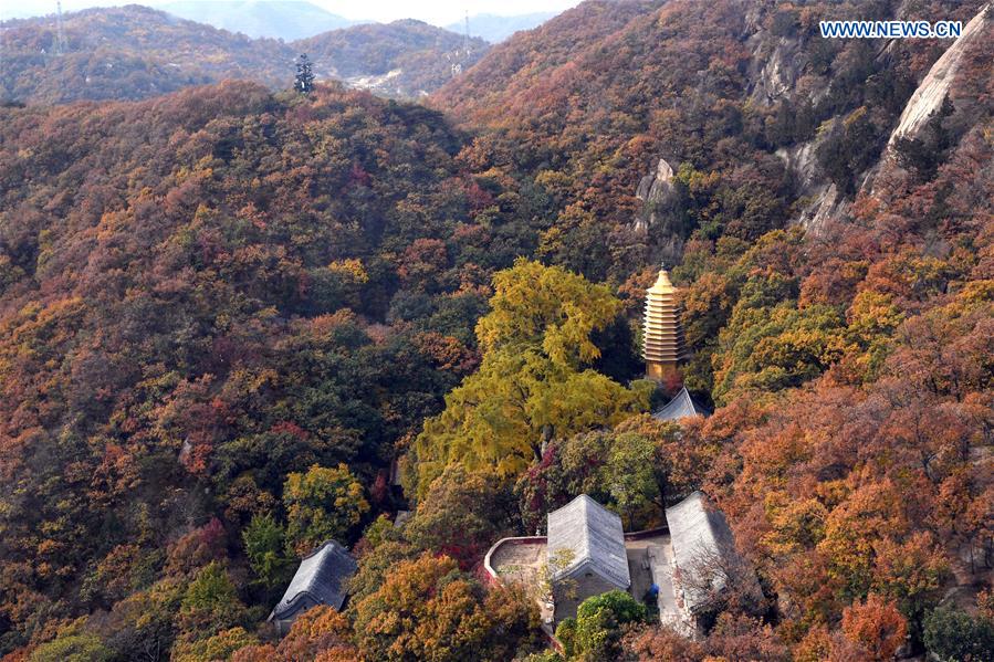 Autumn scenery of Panshan Mountain scenic resort in Tianjin - China.org.cn