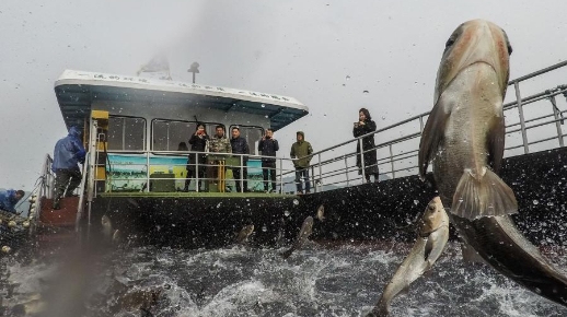Fishery workers catch fish in Zhejiang- China.org.cn
