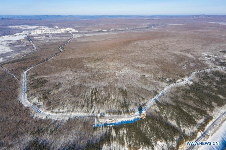 Winter scenery of scenic spot in Mohe- China.org.cn