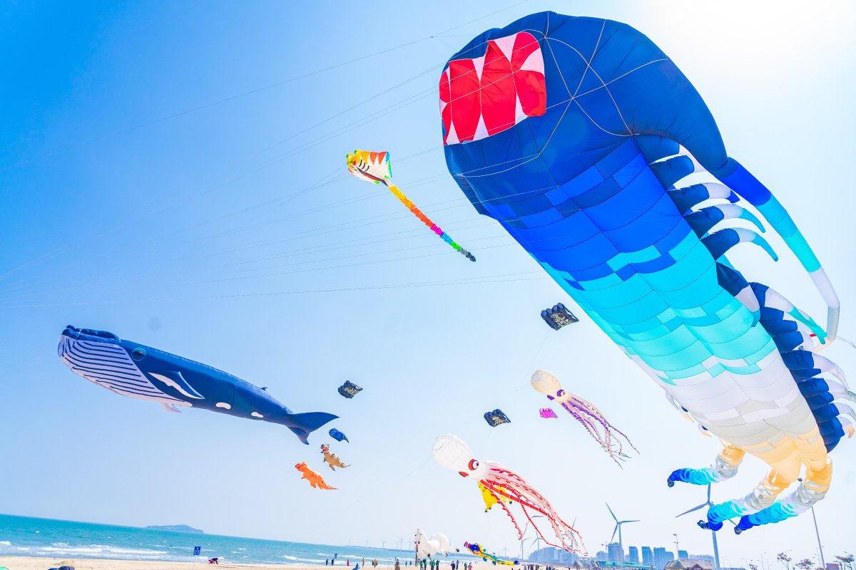 Kites of all kinds take flight over Shandong shore- China.org.cn