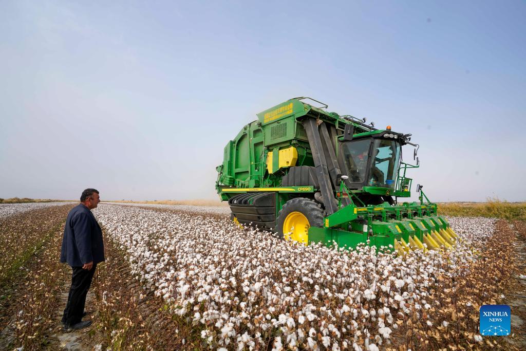 Farming technology helps boost cotton farmer's income in Xinjiang ...