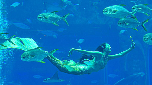 Mermaid contest held in Sanya, China's Hainan- China.org.cn