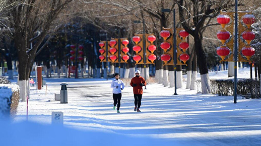 View of snow in Shenyang, northeast China's Liaoning Province- China.org.cn