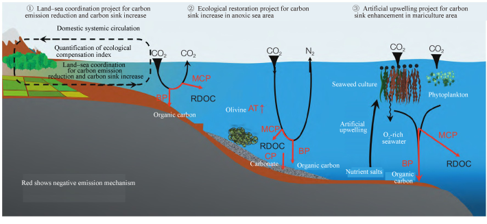 Developing Ocean Negative Carbon Emission Technology to Support ...