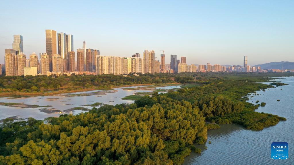 Shenzhen strives to build itself into international wetland city- China ...