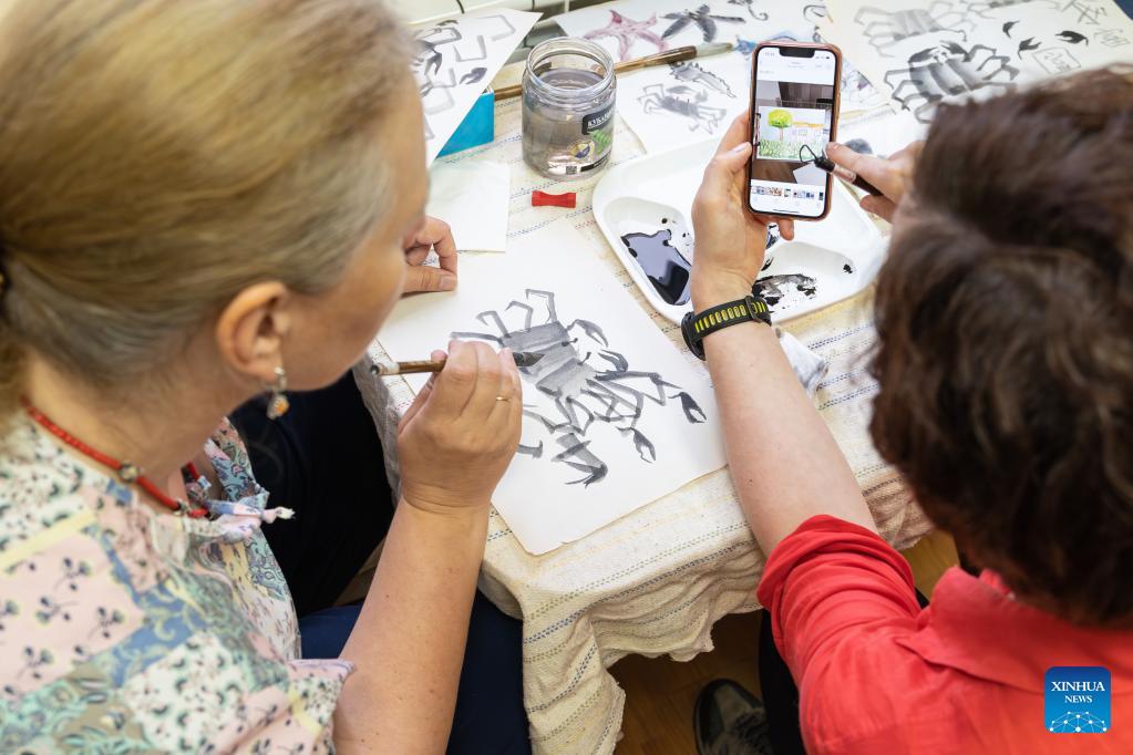 Chinese traditional culture attracts curiosity and admiration of ...